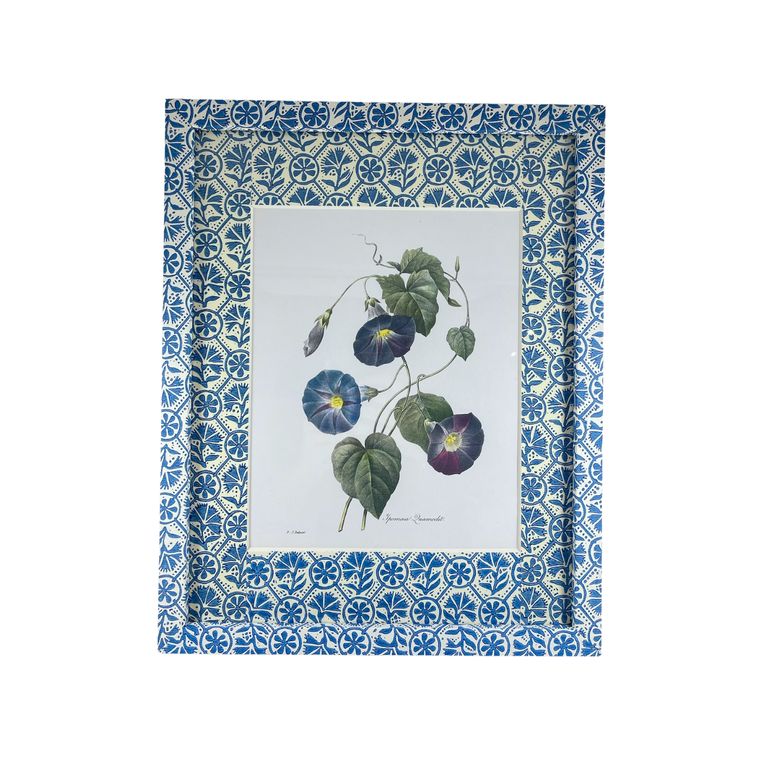 New Arrivals – Ellis Hill